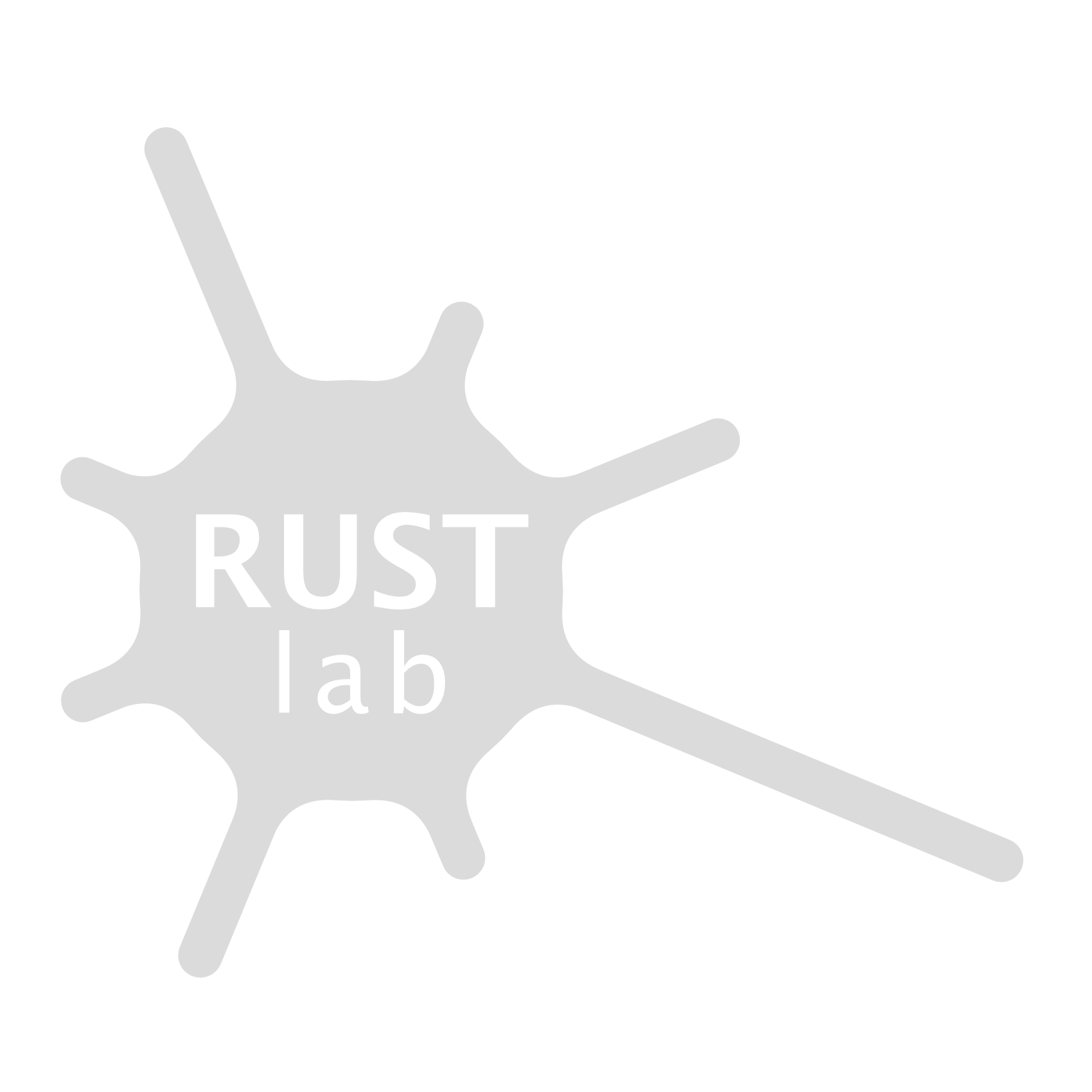 RUSTlab – researching socio-technical worlds